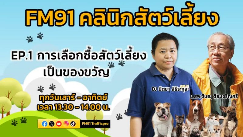 [FM91 Trafficpro] การเลือกซื้อสัตว์เลี้ยงเป็นของขวัญ EP.1 : FM91 คลินิกสัตว์เลี้ยง สัมภาษณ์ นาย ...