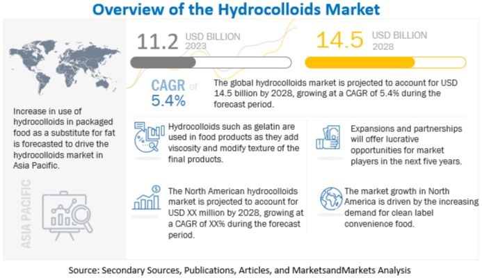 [Food and Beverages] Unveiling the Dynamic World of Hydrocolloids ...