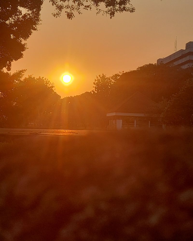 [Nature] Charifkub Story
