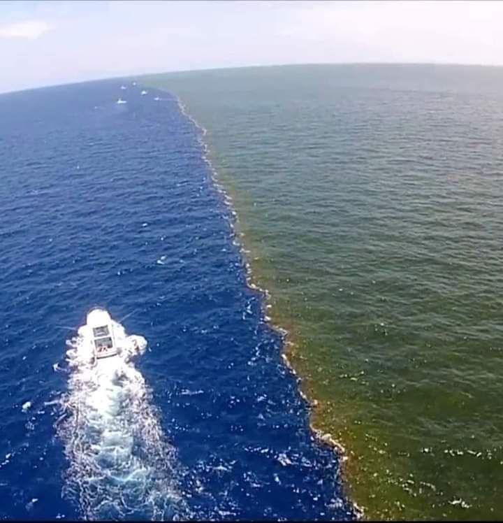 [เบื่อเมือง] มหาสมุทรยังแบ่งขั้ว The meeting point of the Pacific and ...