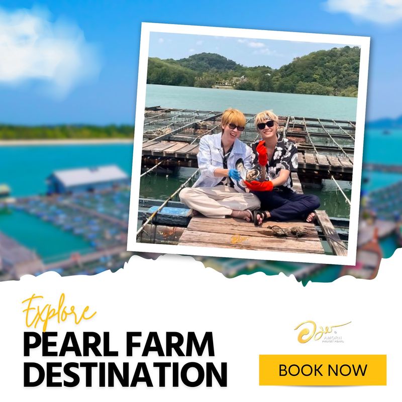 [Phuket Pearl] ลองเรือทัวร์ฟาร์มไข่มุกกลางทะเล กับอณาจักรของ 𝑨𝒎𝒐𝒓𝒏 𝑷𝒉𝒖𝒌𝒆𝒕 𝑷𝒆𝒂𝒓𝒍 สัมผัสประสบการณ์ ...