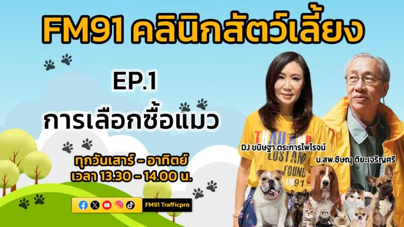 [FM91 Trafficpro] การเลือกซื้อแมว EP.1 : FM91 คลินิกสัตว์เลี้ยง สัมภาษณ์ นายสัตวแพทย์ชิษณุ ติยะ ...