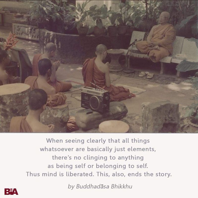 [ผืนป่า และ ผองเพื่อน] When seeing clearly that all things whatsoever ...