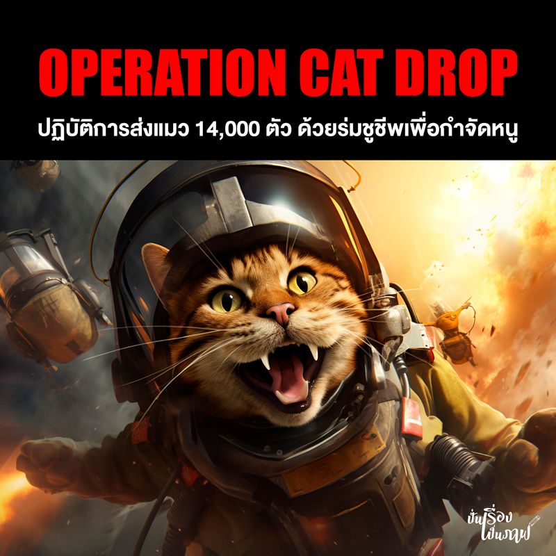 [ปั่นเรื่อง เป็นภาพ] Operation Cat Drop ปฏิบัติการส่งแมวกว่า 14,000 ตัว ด้วยร่มชูชีพ เพื่อกำจัด ...