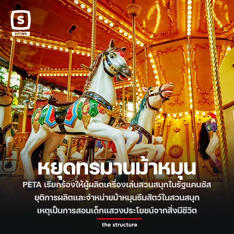 [The Structure] หยุดทรมานม้าหมุน PETA เรียกร้องให้ผู้ผลิตเครื่องเล่นสวน ...