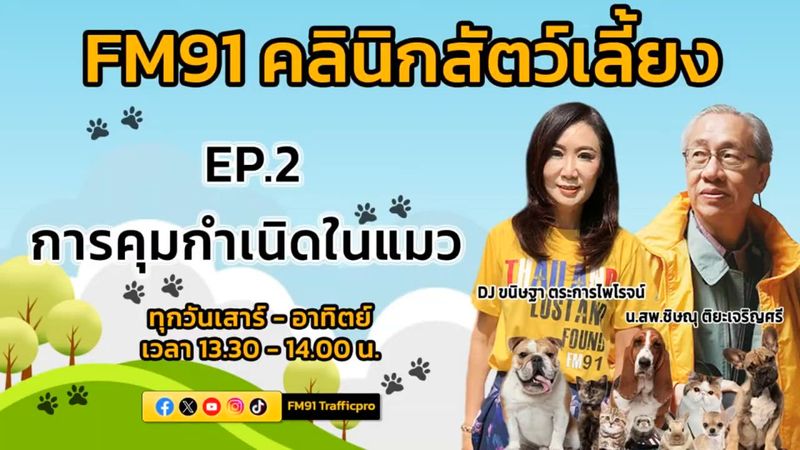 [FM91 Trafficpro] การคุมกำเนิดในแมว EP.2 : FM91 คลินิกสัตว์เลี้ยง สัมภาษณ์ นายสัตวแพทย์ชิษณุ ติ ...