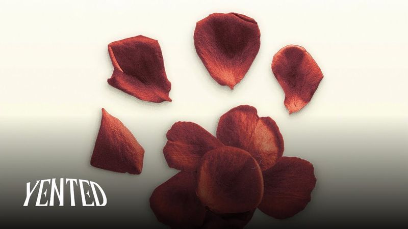 [เพลงไทยน่าฟัง] รู้หรื่อยังว่าวง yented ปล่อยอัลบั้มใหม่แล้ว