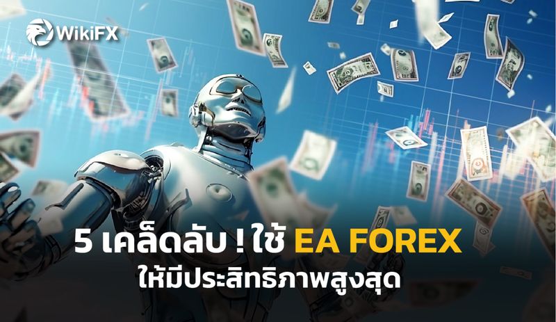 [WikiFX.TH] "5 เคล็ดลับ ! ใช้ EA FOREX ให้มีประสิทธิภาพสูงสุด https://www.wikifx.com/th ...