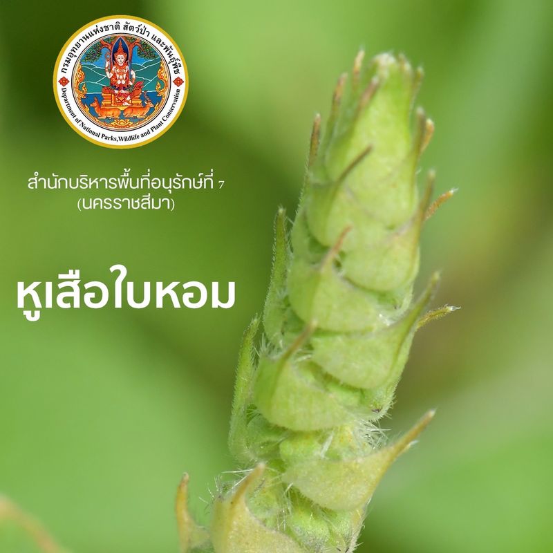 [Naaa ธรรมะ..ดา]