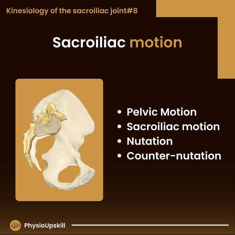 [Physioupskill] ## Episode63: Kinesiology of Sacroiliac joint#8 ...