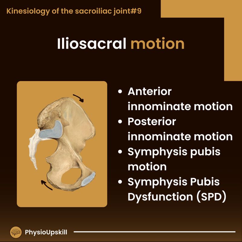 [Physioupskill] ## Episode64: Kinesiology of Sacroiliac joint#9 ...