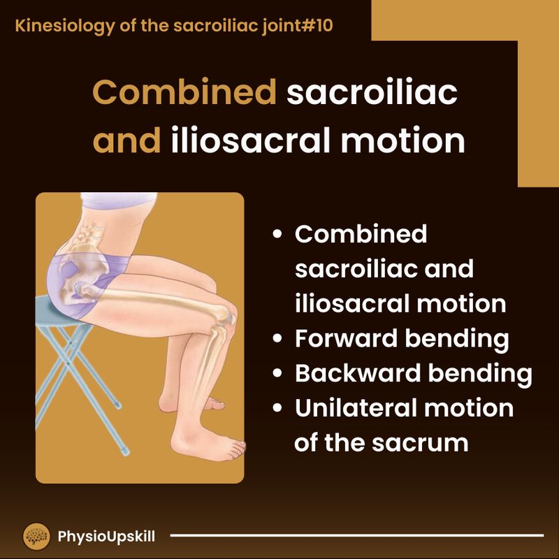[Physioupskill] ## Episode65: Kinesiology of Sacroiliac joint#10 ...