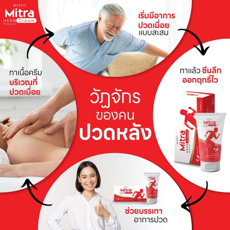 [หาษบูเลาะ ] วัฏจักรทุกวันของทุกคน ‼ คงหนีไม่พ้น อาการปวดหลัง ยิ่งปล่อย ...