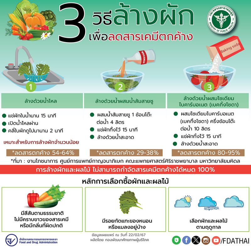 [fdathai] 3 วิธีล้างผัก เพื่อลดสารเคมีตกค้าง สามารถติดตามบทความและข้อมูลอ้างอิงต่อได้ที่ ...