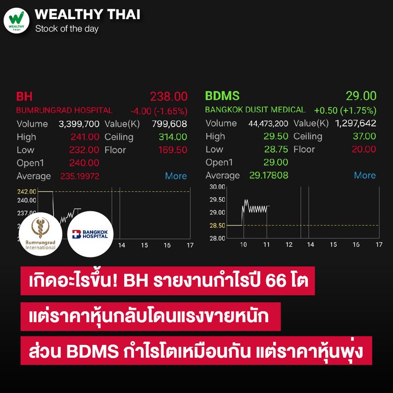 [Wealthy Thai] เกิดอะไรขึ้น! BH รายงานกำไรปี 66 โต แต่ราคาหุ้นกลับโดนแรงขายหนัก ส่วน BDMS กำไรโต ...