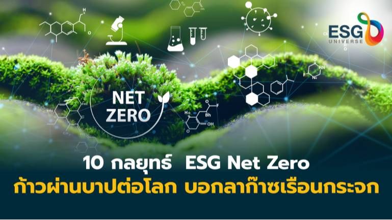 [ESGUNIVERSE] แกะรอย 10 กลยุทธ์ทำ ESG จุดประกาย ธุรกิจไร้คาร์บอน การสร้าง ESG : 10 กลยุทธ์การลด ...