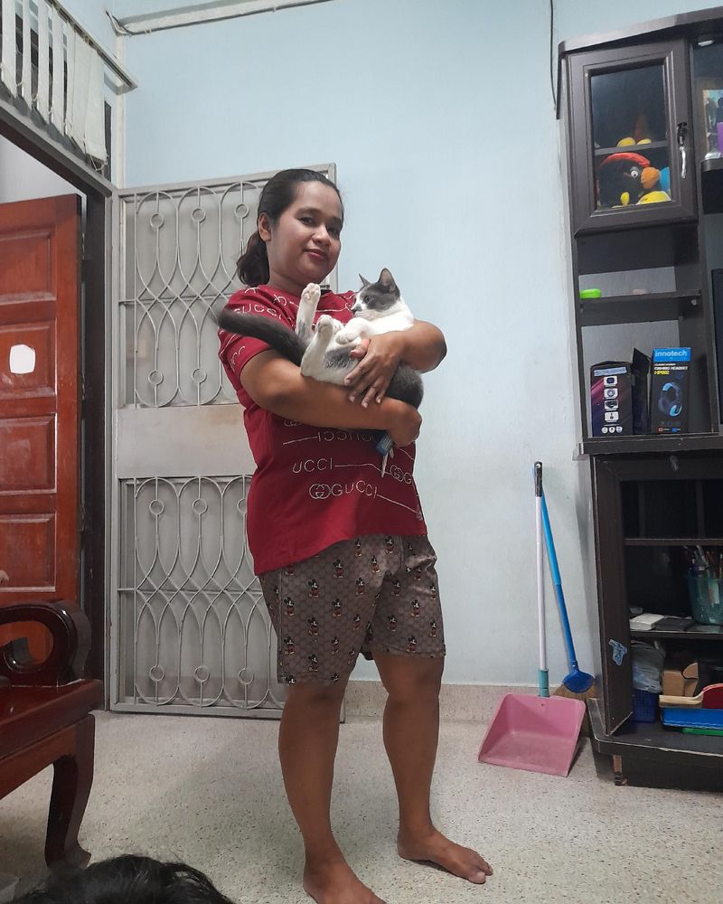 [Charifkub] Shoper Cat