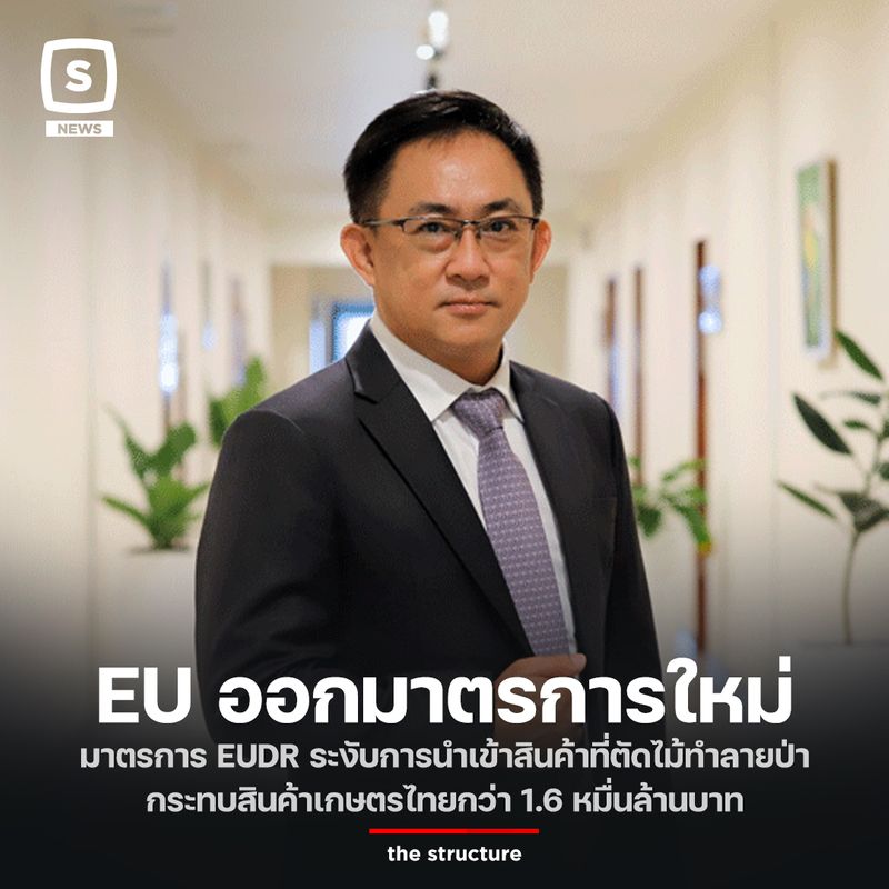 [The Structure] EU ออกมาตรการใหม่ มาตรการ EUDR ระงับการนำเข้าสินค้าที่ตัดไม้ทำลายป่า กระทบสินค้า ...