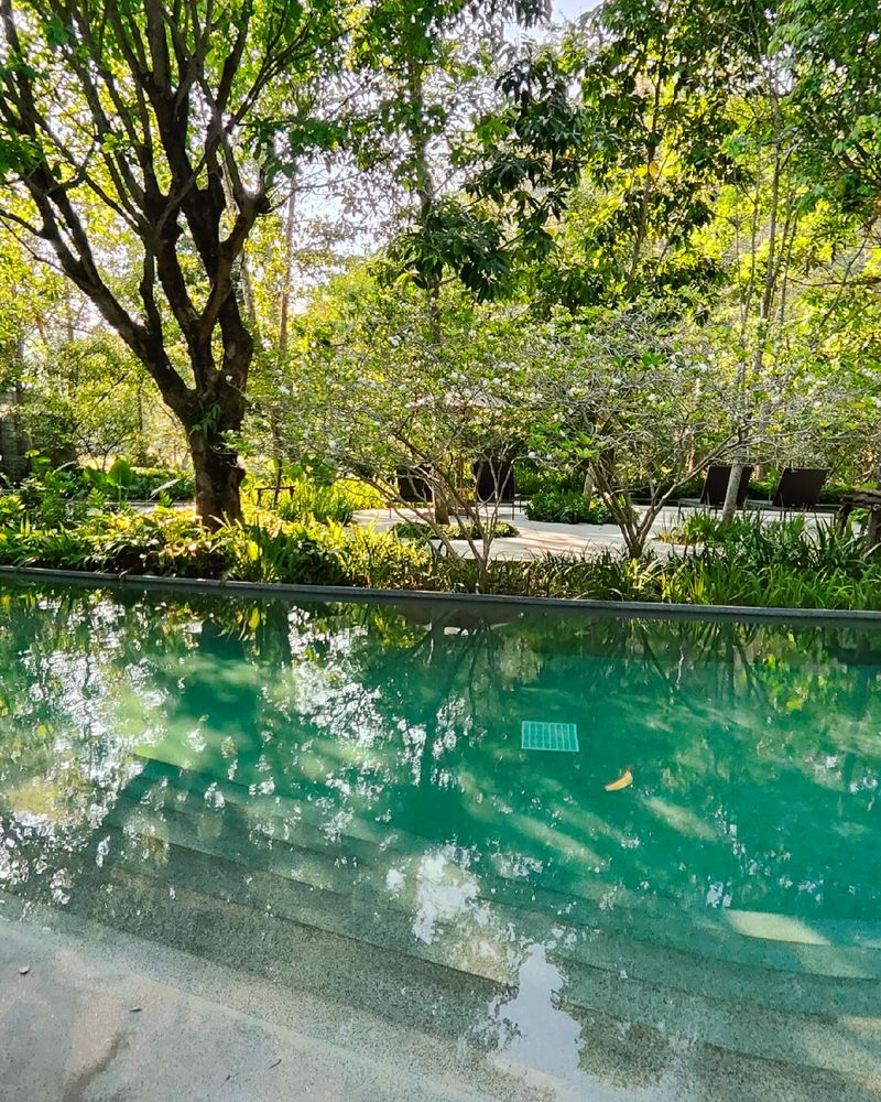 [Wis] กลับมาแล้ว