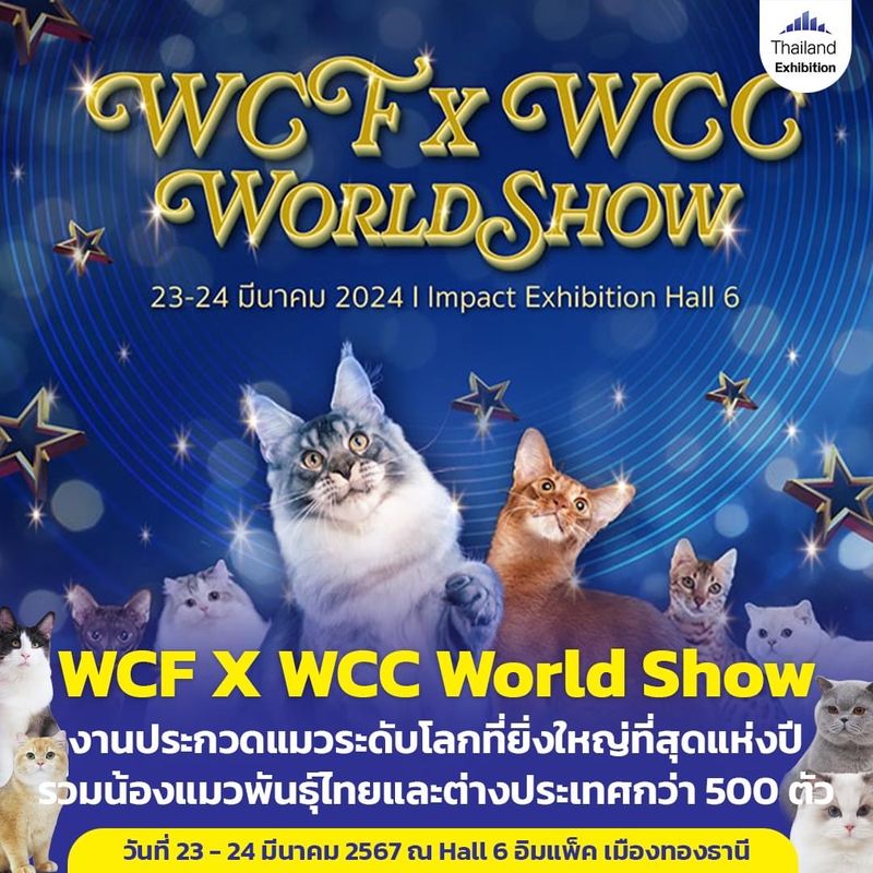 [THAILAND EXHIBITION] เตรียมพบกับงานประกวดแมวระดับโลกที่ยิ่งใหญ่ที่สุด ...
