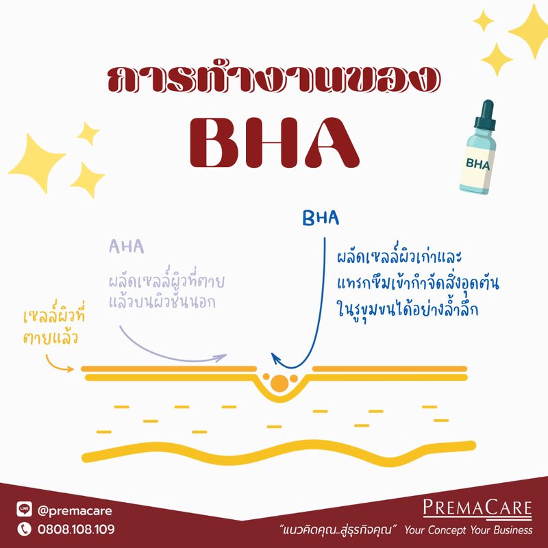 [PremaCareโรงงานรับผลิตสร้างทำแบรนด์ครีม อาหารเสริม] กรดผลัดเซลล์ผิว BHA คืออะไร? ช่วยลดสิวได้ ...