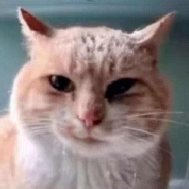 [Porsch Tanapat] iStudio by Advice มาแน่ ตุลาคม 2567!!! Advice ร่วมมือ ...