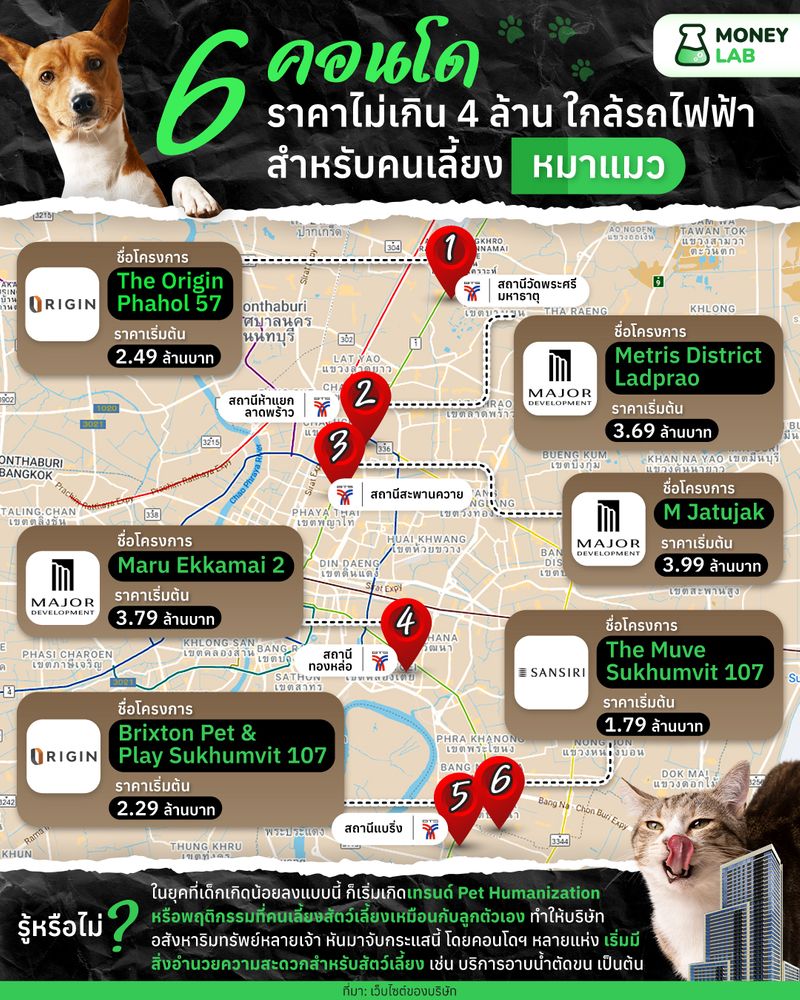 [MONEY LAB] 6 คอนโด ราคาไม่เกิน 4 ล้าน ใกล้รถไฟฟ้า สำหรับคนเลี้ยงหมาแมว