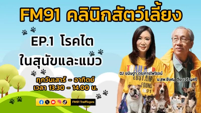 [FM91 Trafficpro] โรคไตในสุนัขและแมว EP.1 : FM91 คลินิกสัตว์เลี้ยง สัมภาษณ์ นายสัตวแพทย์ชิษณุ ติ ...