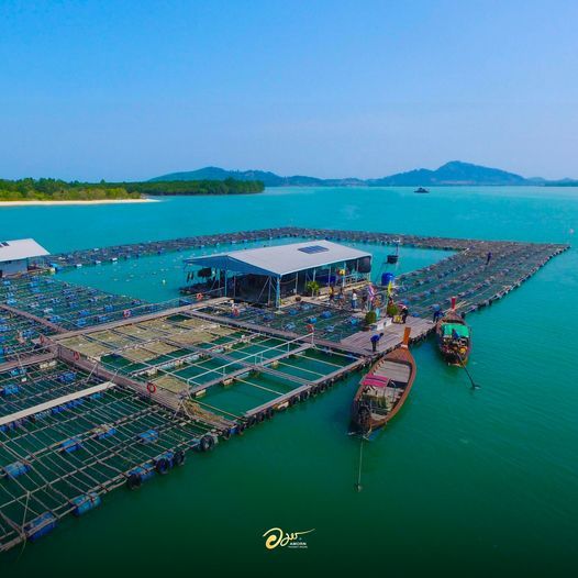 [Phuket Pearl] สัมผัสพื้นที่ใกล้ชิดธรรมชาติ ที่ฟาร์มไข่มุก 𝑨𝒎𝒐𝒓𝒏 𝑷𝒉𝒖𝒌𝒆𝒕 𝑷𝒆𝒂𝒓𝒍 ให้ร่างกายได้อยู่ ...