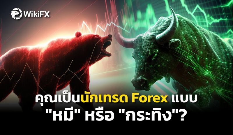 [WikiFX.TH] คุณเป็นนักเทรด Forex แบบ "หมี" หรือ "กระทิง"? https://www ...