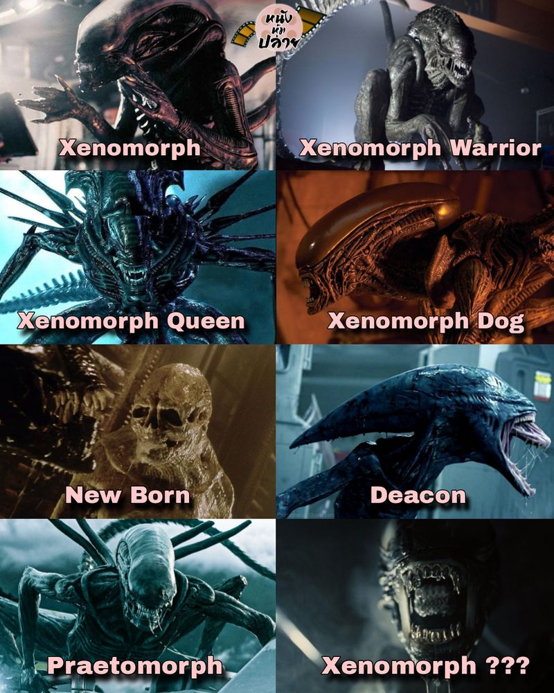 [หนัง Man & หนังหุ้มปลาย] มันกำลังกลับมา!!!! Xenomorph https://youtu.be ...