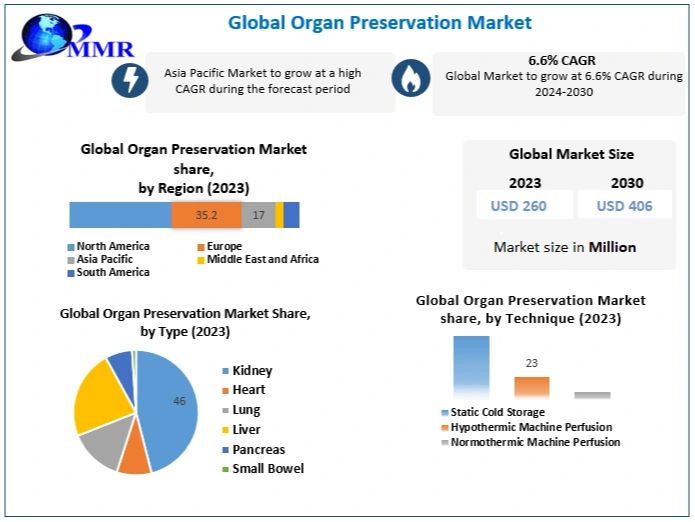 [blog] Organ Preservation Market: Global Industry Analysis and Forecast ...