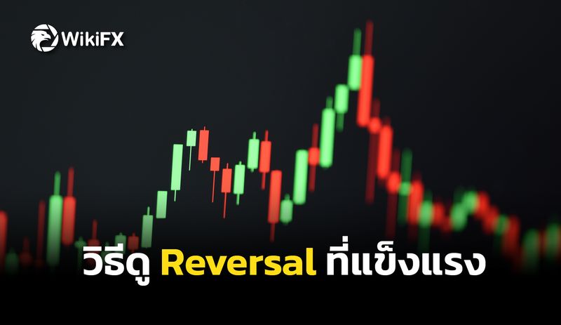 [WikiFX.TH] วิธีดู Reversal ที่แข็งแรง https://www.wikifx.com/th ...