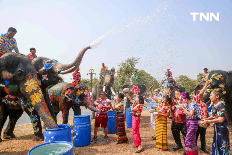 [TNN ONLINE] คลายร้อนชาวกรุงเก่า ชวนช้างเล่นน้ำรับเทศกาลสงกรานต์ ช้างจากวังช้างอยุธยาแลเพนียด 10 ...
