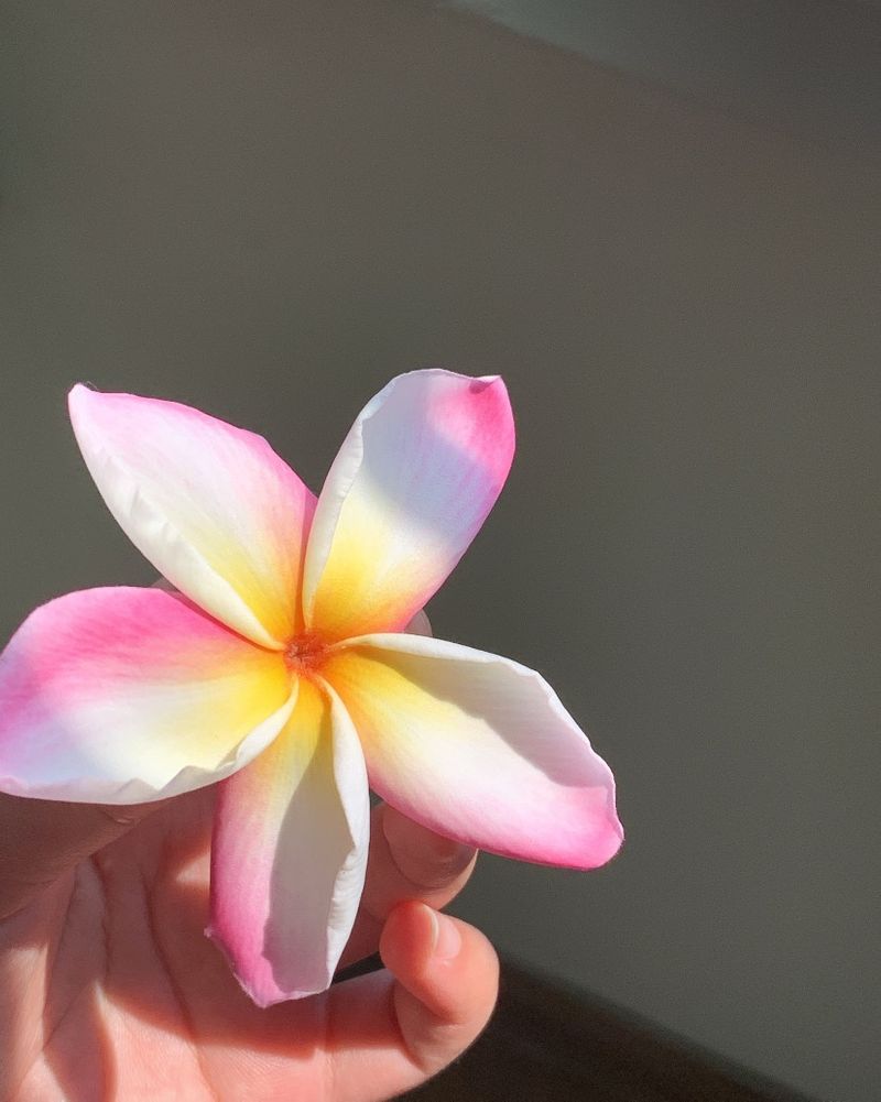 [Nuchy] “จังหวะชีวิต ความโชคร้าย ความโชคดี และความโชคดีในโชคร้ายของ ...