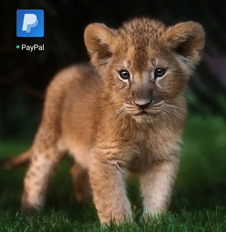 [Budak Nayu] ธุรกิจนายพลประเทศสยาม