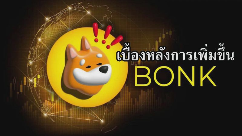 [SCOPE TV] Bonkโทเค็น เบื้องหลังการเพิ่งขึ้นของ BONK เหรียญมาแรงปี2024 ...