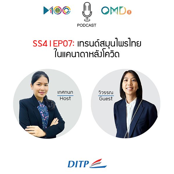 [เจาะตลาดการค้ากับ DITP] Podcast เจาะตลาดการค้ากับ DITP SS4 l EP07 เทรนด์สมุนไพรไทยในแคนาดาหลังโควิด