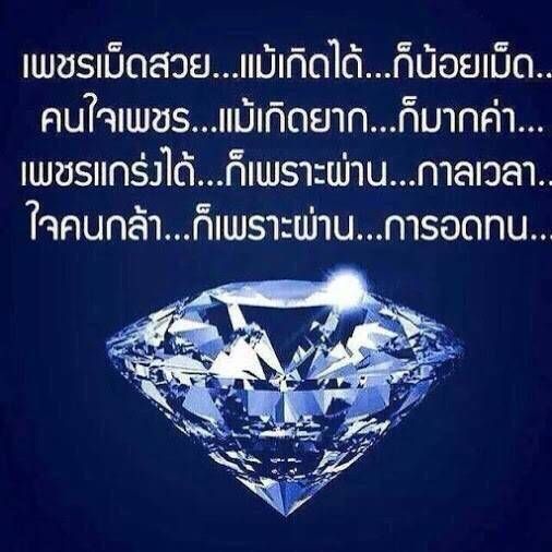 [กลั่นหามาเล่า] เพรช