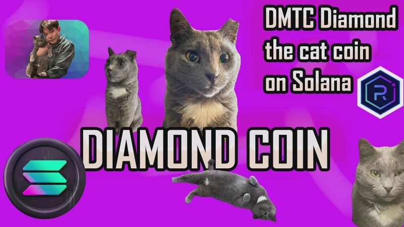 [SCOPE TV] DMTC เหรียญมีมแมวน้องใหม่ อนาคตX10,000 ของTrader ทาสแมวทุกคน "วิธีการเก็บDMTCในประเทศ ...