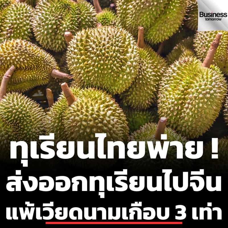 [ทันโลกกับ Trader KP] ทุเรียนไทย อาจไม่ใช่ที่ 1 ในจีนอีกต่อไป ! หลังทุเรียนเวียดนามส่งออกแซงหน้า ...