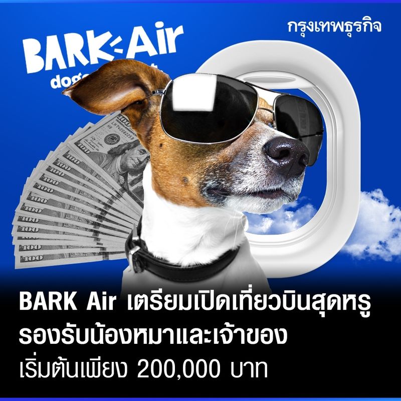 [กรุงเทพธุรกิจ] BARK Air เตรียมเปิดเที่ยวบินสุดหรู รองรับน้องหมา และ ...