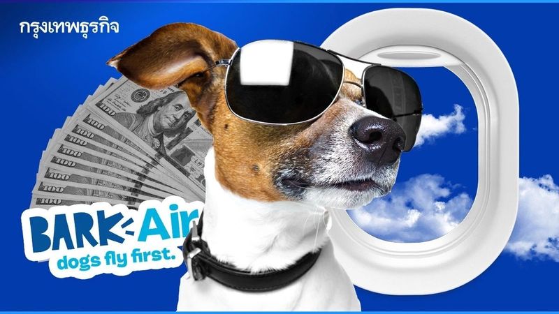 [กรุงเทพธุรกิจ] BARK Air เตรียมเปิดเที่ยวบินสุดหรู รองรับน้องหมา และ ...