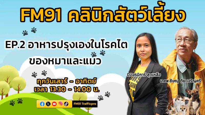 [FM91 Trafficpro] อาหารปรุงเองในโรคไตของสุนัขและแมว EP.2 : FM91 คลินิกสัตว์เลี้ยง สัมภาษณ์ นาย ...