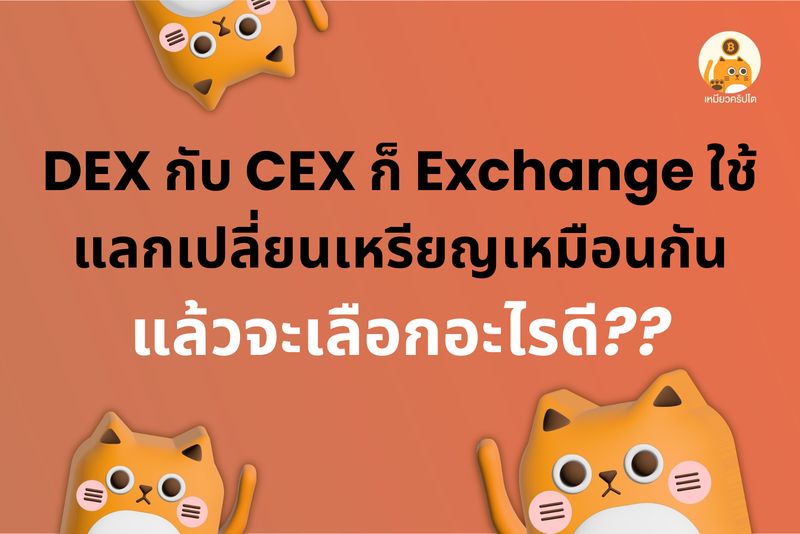 [เหมียวคริปโต - Meow Crypto] DEX กับ CEX ก็ Exchange ใช้แลกเปลี่ยนเหรียญเหมือนกัน แล้วจะเลือก ...