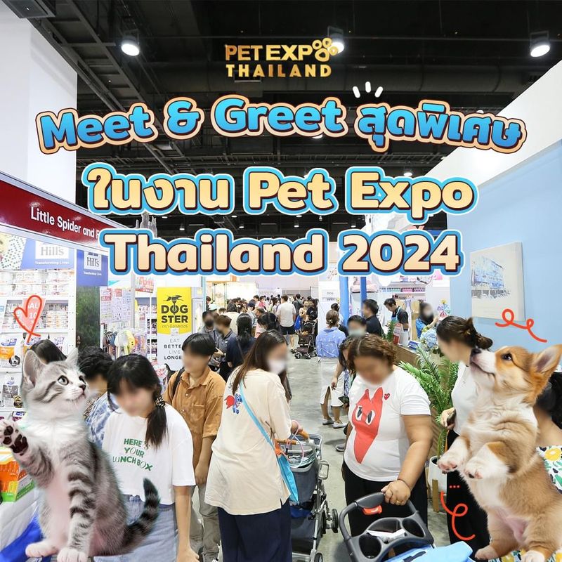 [THAILAND EXHIBITION] Meet & Greet สุดพิเศษ กับเหล่าสัตว์เลี้ยง และนักแสดงดัง ตลอด 4 วัน ในงาน ...