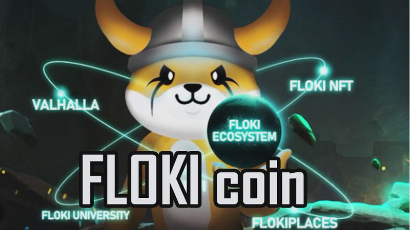 [SCOPE TV] FLOKI coin ทะยานในขณะที่วาฬซื้อเหรียญ กระตุ้นการเก็งกำไรใน ...