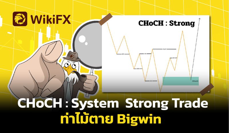 [WikiFX.TH] CHoCH : System Strong Trade ท่าไม้ตาย Bigwin https://www.wikifx.com/th/newsdetail ...