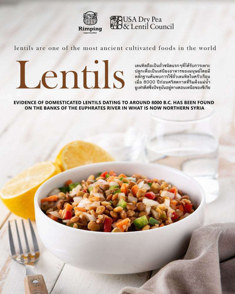 [Rimping Supermarket] ทำความรู้จัก “เลนทิล” (Lentils) พืชตระกูลถั่วที่ ...