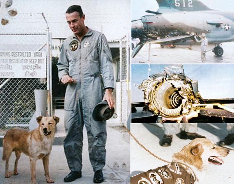 [ประวัติศาสตร์การยุทธ(Battle History)] "ตำนานของรอสโค" (Roscoe) หมานำ ...